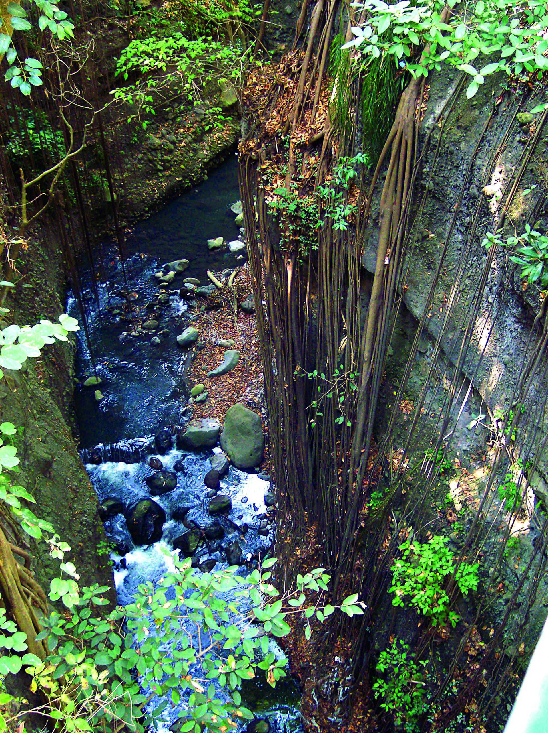 Barranca de Amanalco - SYS5 exploramorelos