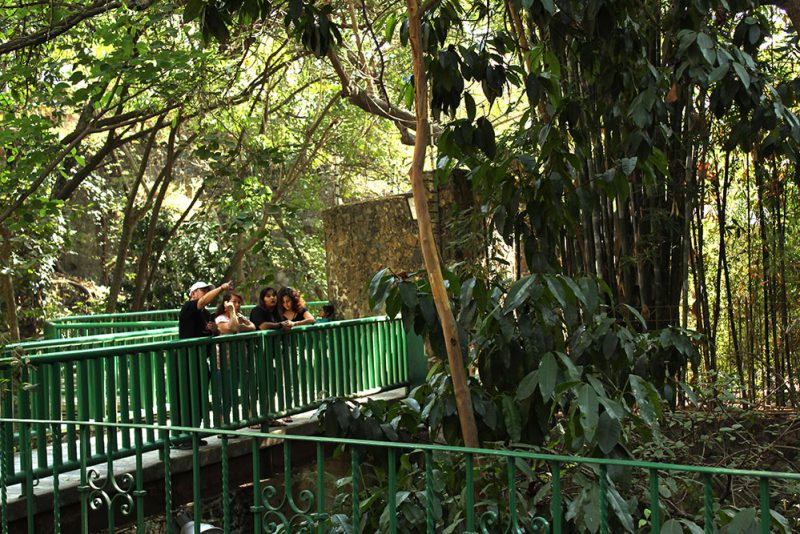 Barranca de Amanalco - SYS5 exploramorelos