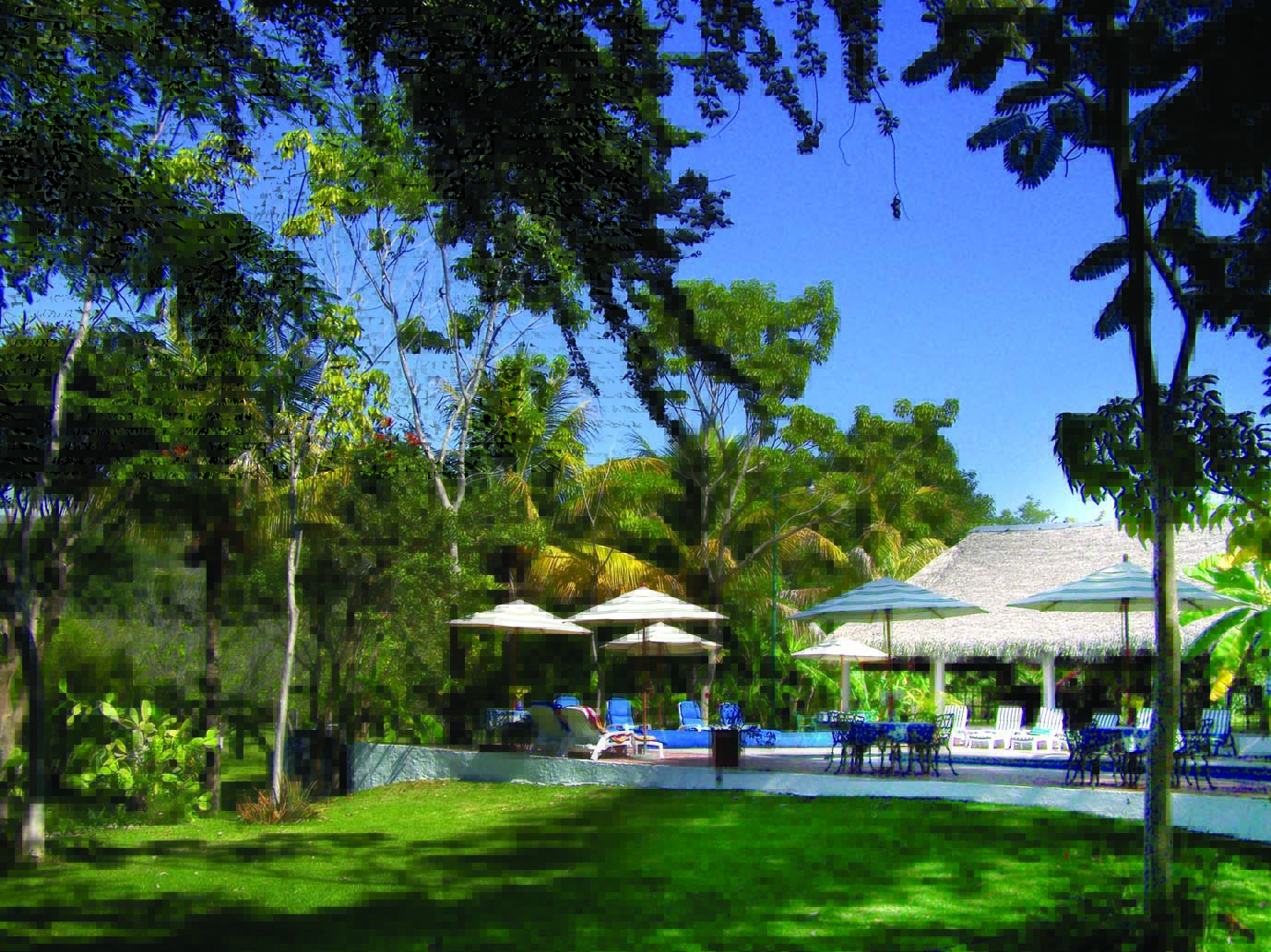 Hotel Casa de las Flores - SYS5 exploramorelos