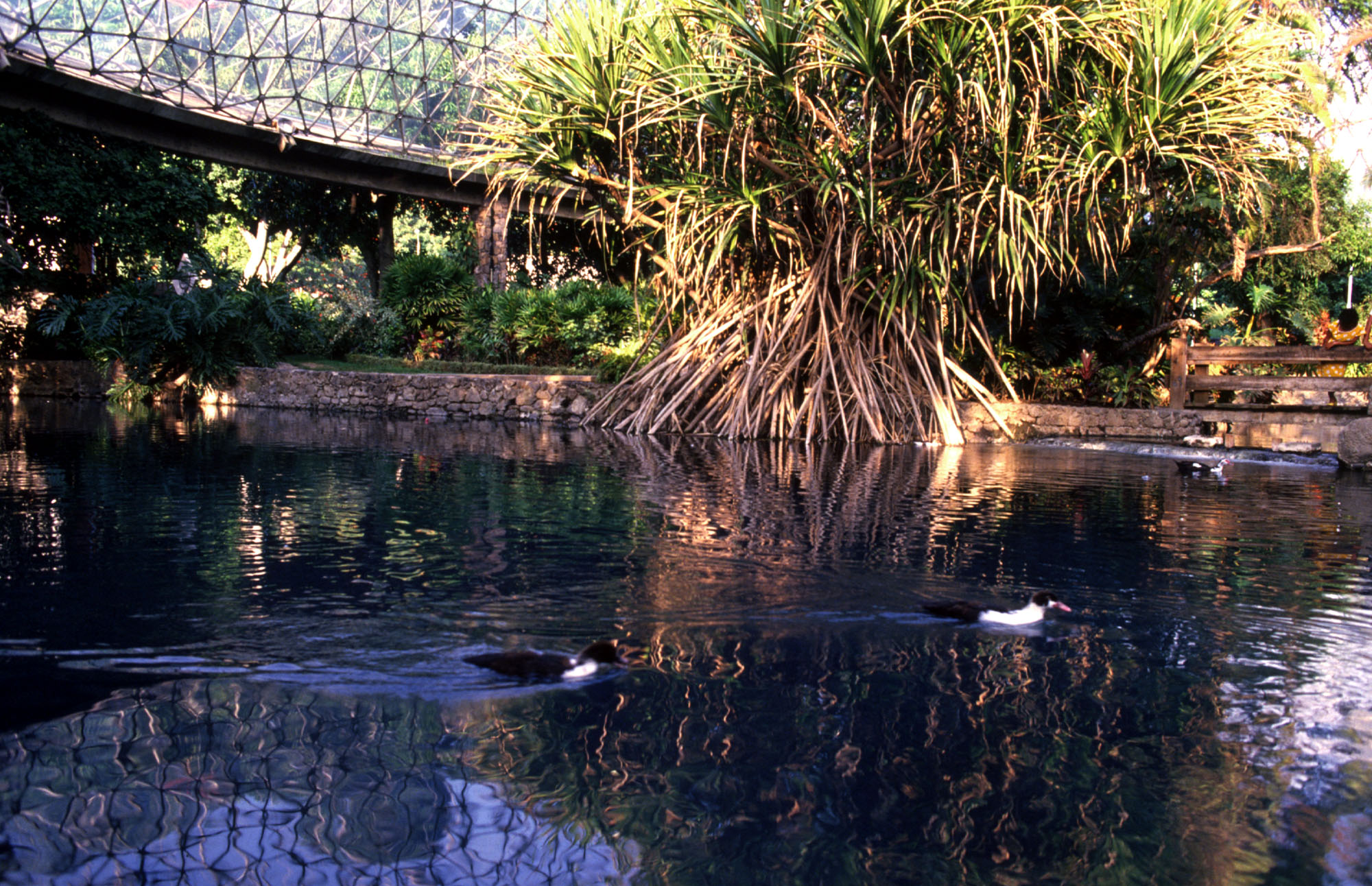 Centro Vacacional IMSS Oaxtepec - SYS5 exploramorelos
