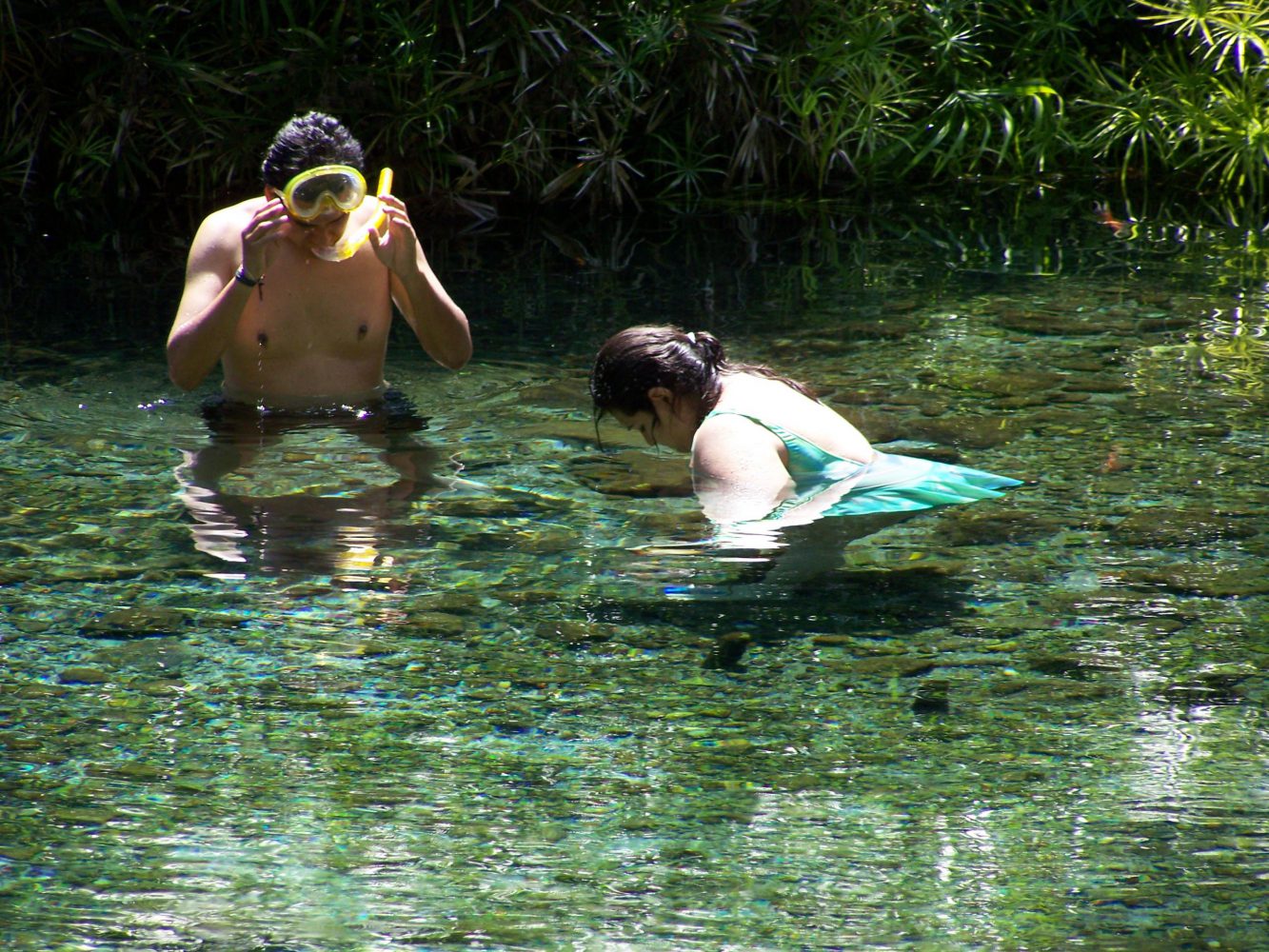 Balneario Santa Isabel - SYS5 exploramorelos