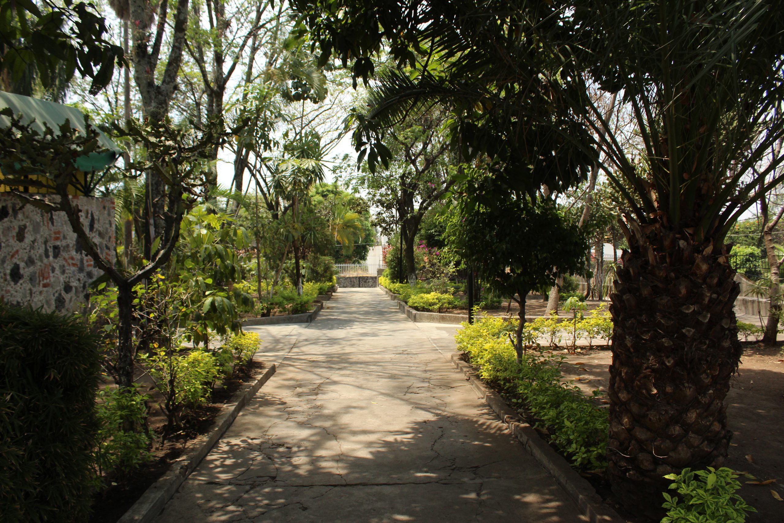 Chapultepec - SYS5 exploramorelos