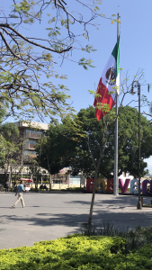 Zócalo de Cuernavaca - SYS5 exploramorelos