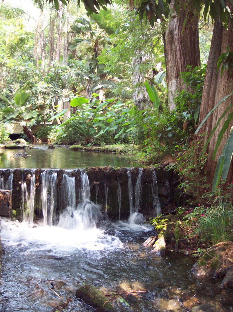 Parque Barranca de Chapultepec - SYS5 exploramorelos