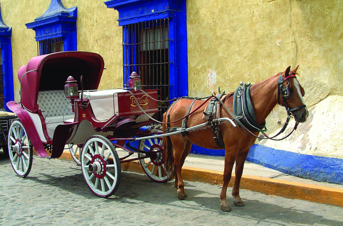 TLAYACAPAN archivos - SYS5 exploramorelos