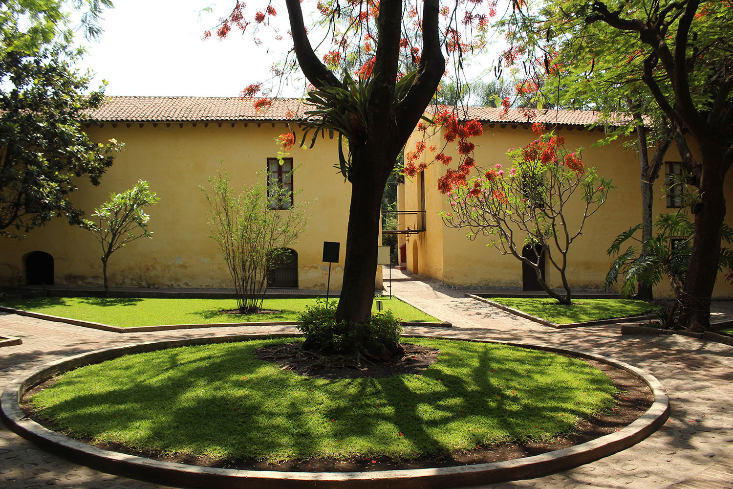 Museo Etnobotánico - SYS5 exploramorelos