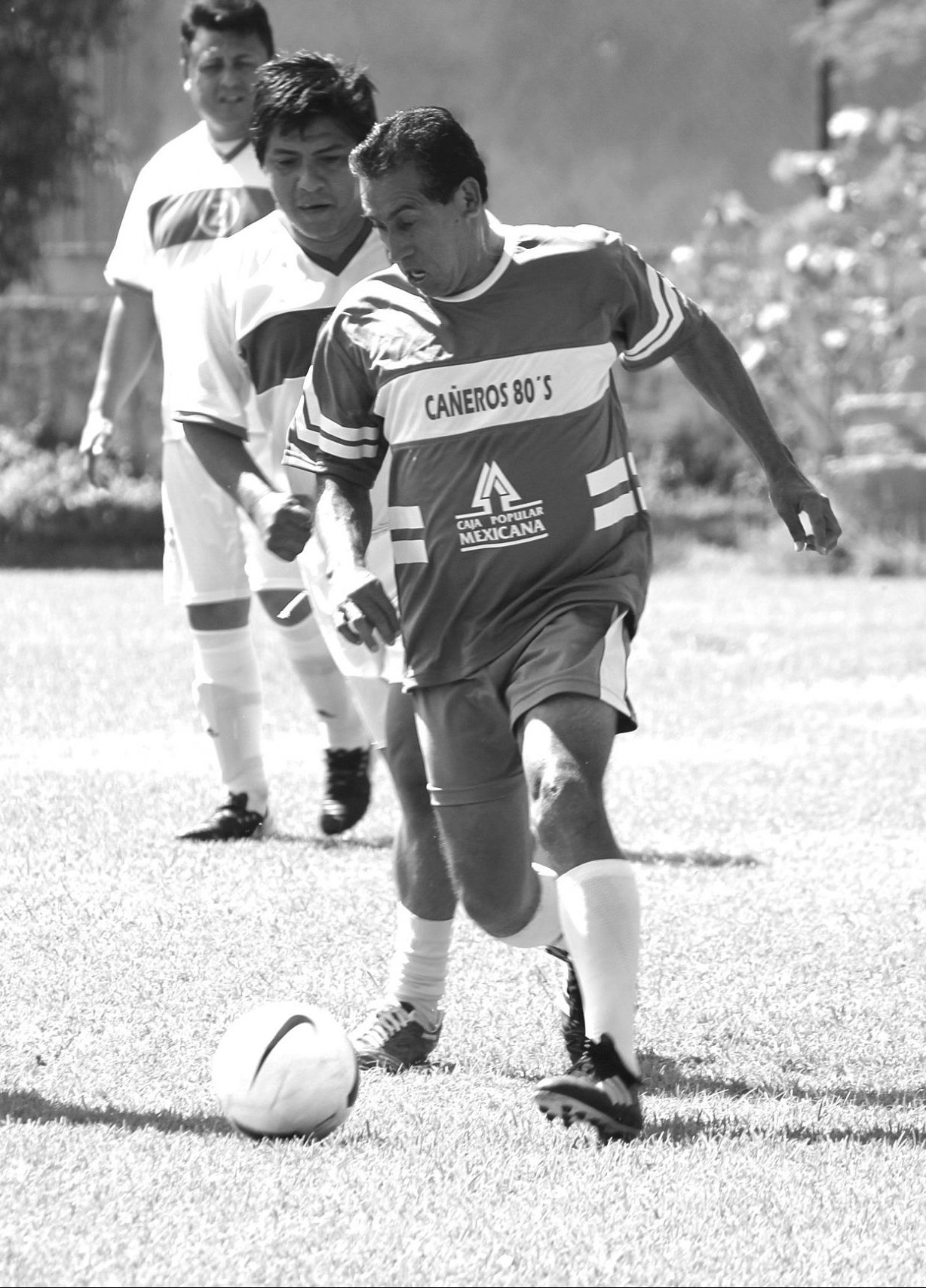 Alfredo Trujillo García - SYS5 exploramorelos